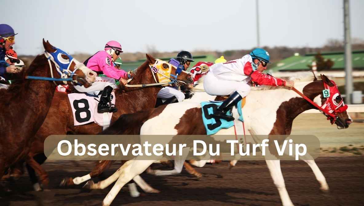 Observateur du Turf VIP: Tips, Tricks & Horse Racing Guide